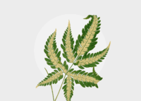 GBIF Metabarcoding Data Toolkit