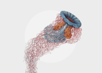 GBIF Metabarcoding Data Toolkit